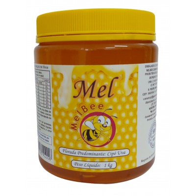 Mel Puro - Várias Floradas Pote 1 kg